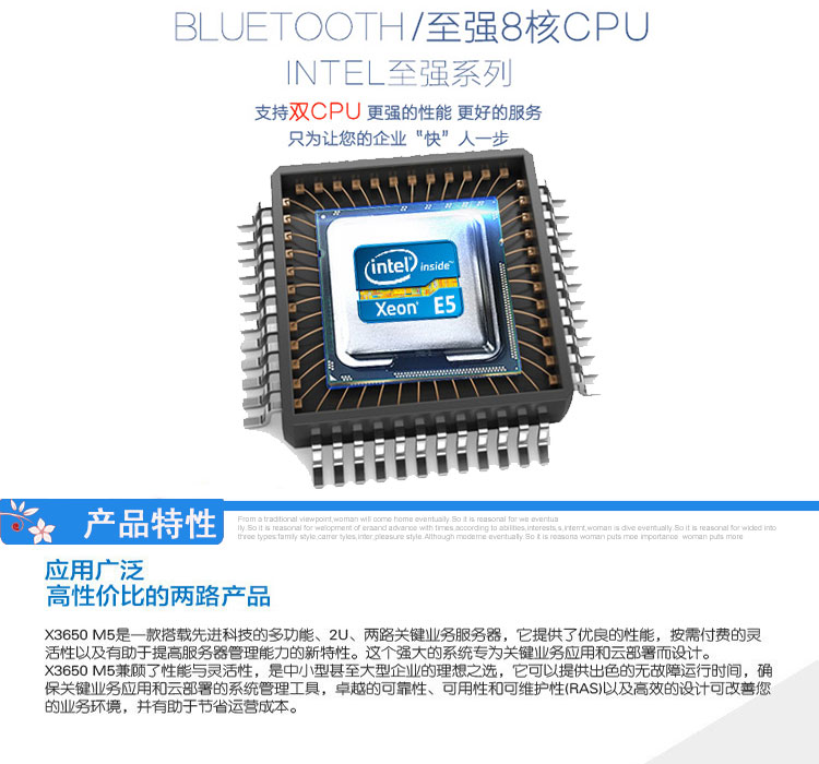 IBM联想System x3650 M5(8871I38)